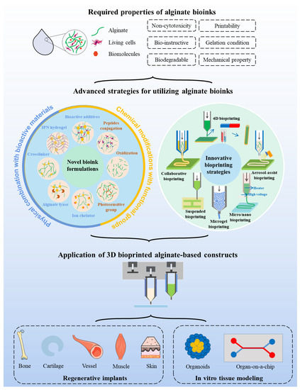 Advanced Strategies for 3D Bioprinting of Tissue and Organ Analogs ...