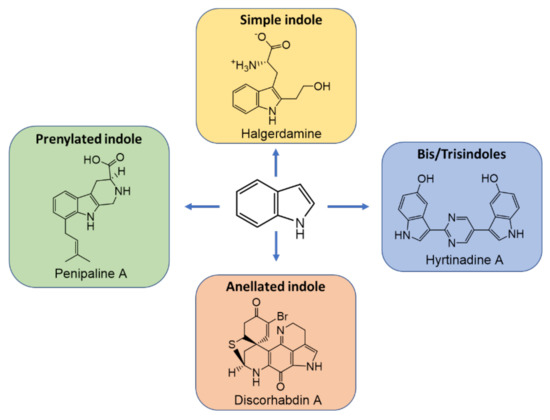 Marine-Derived Indole Alkaloids and Their Biological and ...