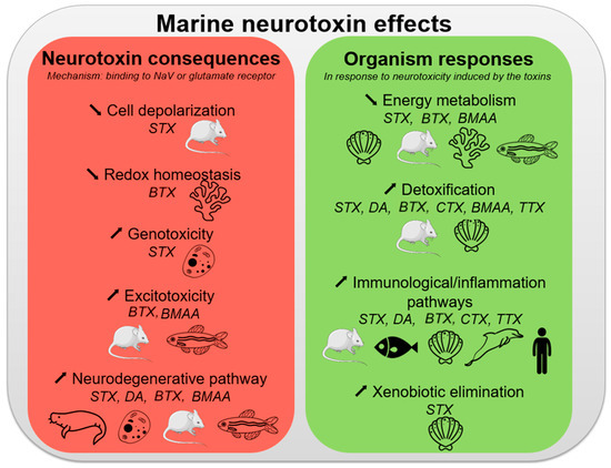 Marine Neurotoxins’ Effects on Environmental and Human Health: An OMICS ...