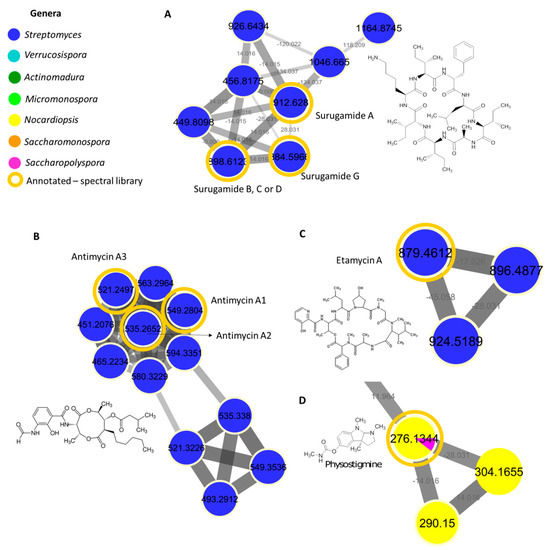 Marine Drugs | Free Full-Text | The Diversity, Metabolomics Profiling ...
