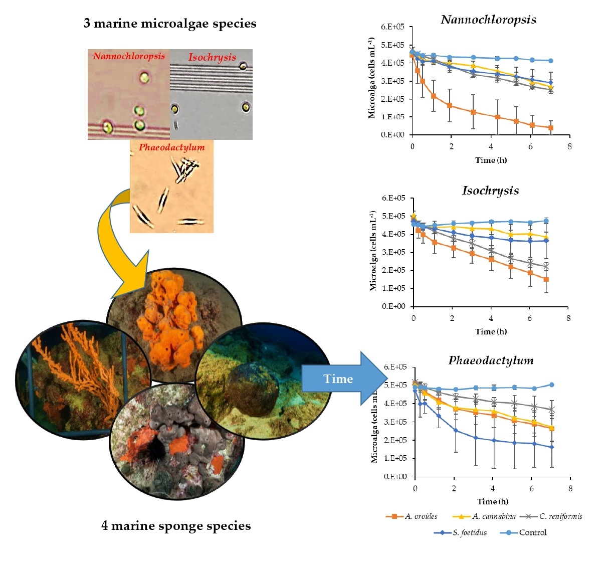 Marine Drugs | Free Full-Text | A Multi-Species Investigation of ...