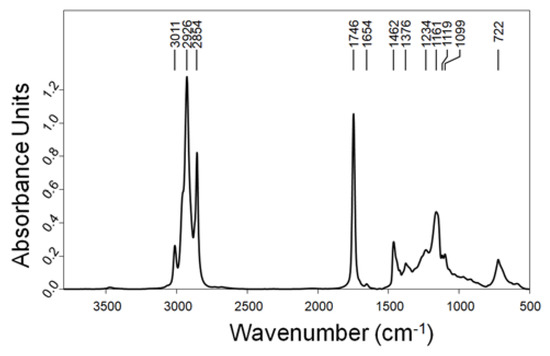 Crypthecodinium cohnii Growth and Omega Fatty Acid Production in ...