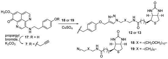 Study of the Structure–Activity Relationship of an Anti-Dormant ...