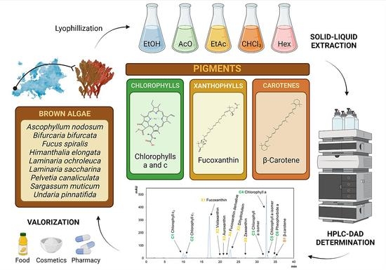 Marine Drugs | Free Full-Text | Pigment Composition of Nine Brown Algae ...