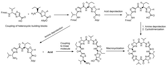 Possible Functional Roles of Patellamides in the Ascidian-Prochloron ...