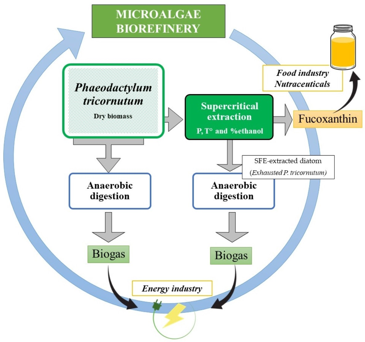 Marine Drugs | Free Full-Text | Supercritical Fluid Extraction of ...