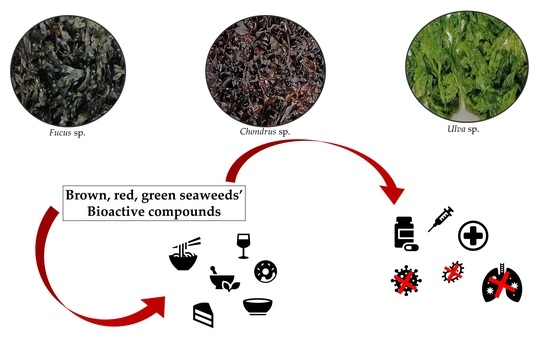 Marine Drugs | Free Full-Text | An Overview of Potential Seaweed ...