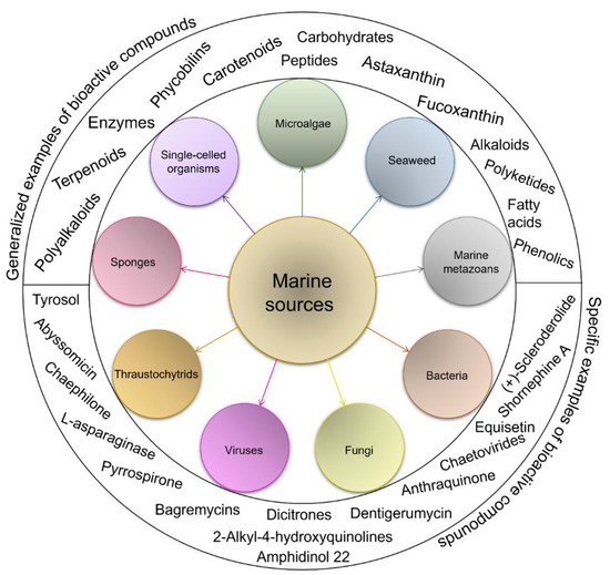Exploring Marine as a Rich Source of Bioactive Peptides: Challenges and ...