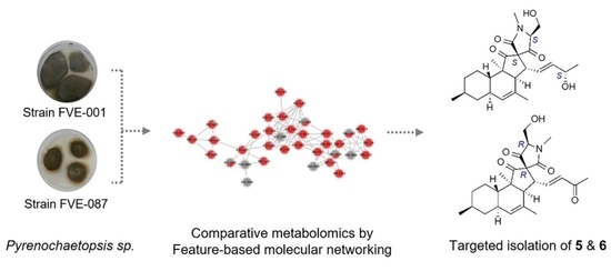 Marine Drugs | Free Full-Text | Application of Feature-Based Molecular ...
