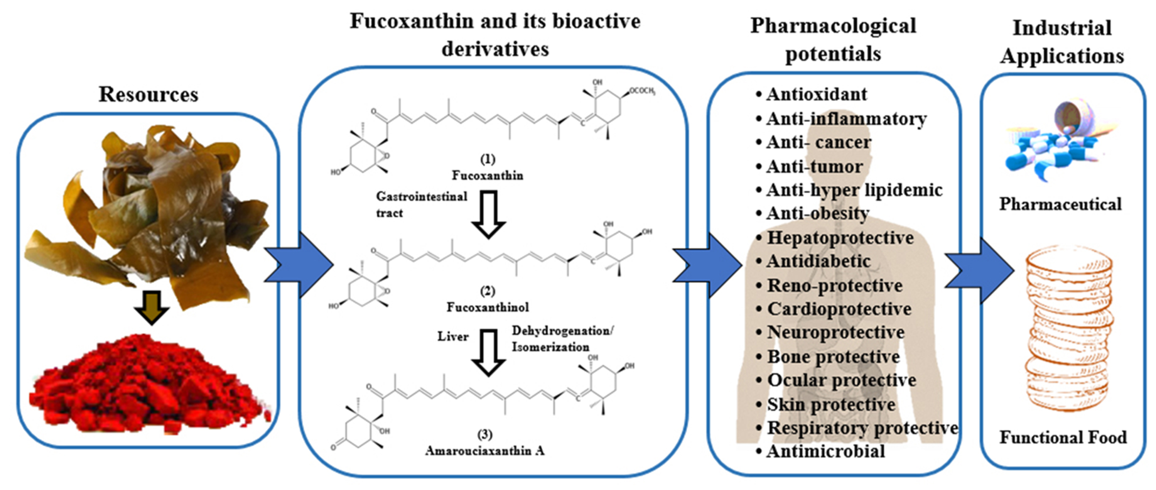 Marine Drugs | Free Full-Text | A Systematic Review on Marine Algae ...