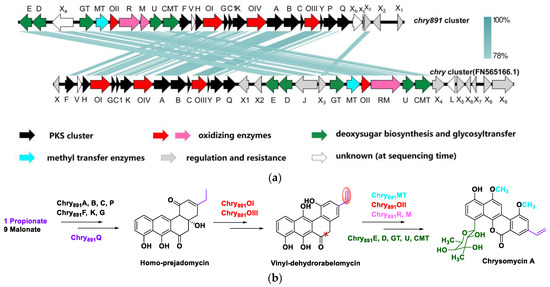 Comprehensive Genomic Analysis of Marine Strain Streptomyces sp. 891 ...