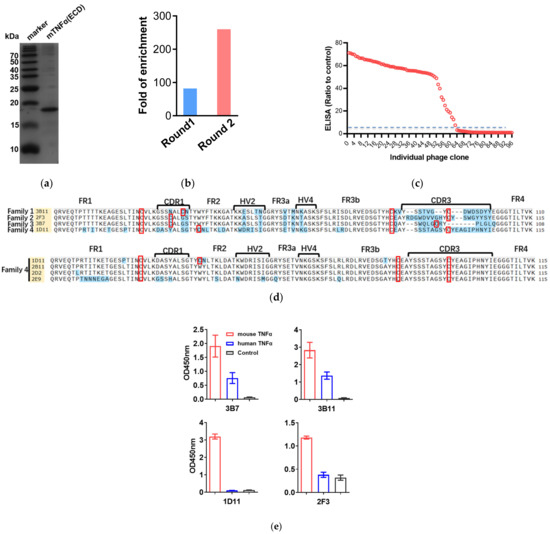 Identification of Anti-TNFα VNAR Single Domain Antibodies from ...