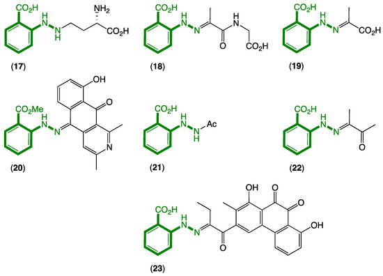 Structure Revision of Penipacids A–E Reveals a Putative New Cryptic ...