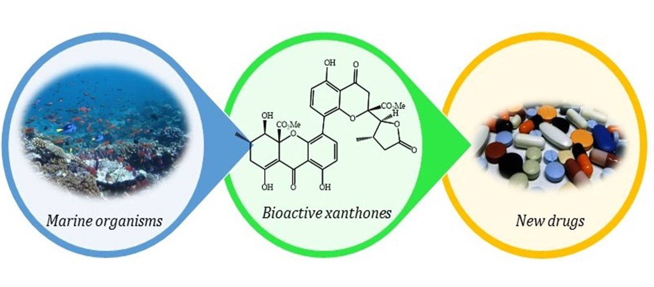 Marine Drugs | Free Full-Text | Marine-Derived Xanthone from 2010 to ...