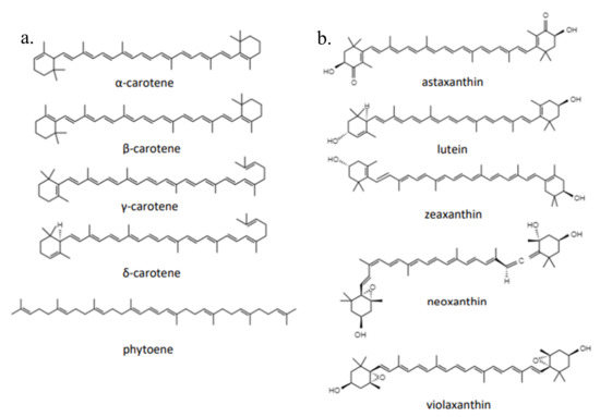 Marine Microbial-Derived Resource Exploration: Uncovering the Hidden ...