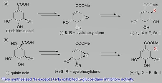 Marine Drugs | Free Full-Text | Synthesis of 6-Halo-Substituted ...