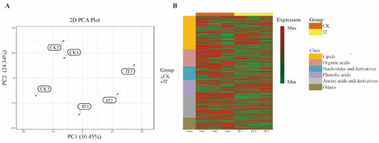 Identification, Characteristics and Function of Phosphoglucomutase (PGM ...