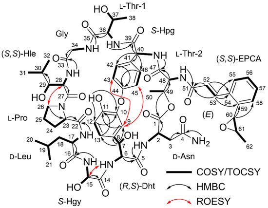 Epoxinnamide: An Epoxy Cinnamoyl-Containing Nonribosomal Peptide from ...