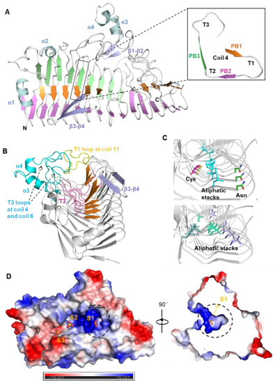 Marine Drugs Free Full Text Structural And Biochemical Analysis