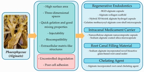 Marine Drugs | Free Full-Text | An Insight into the Role of Marine ...