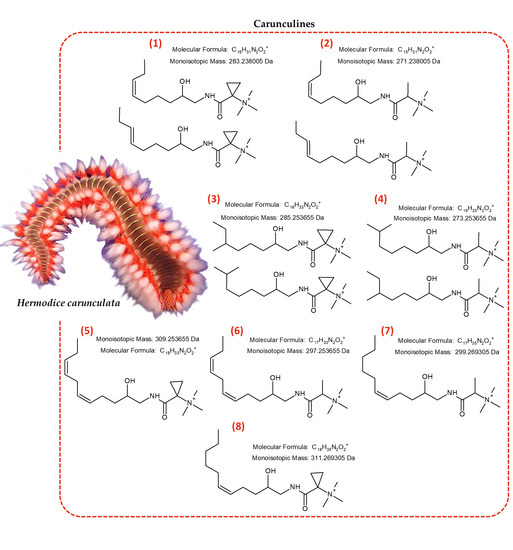 Marine Drugs | Free Full-Text | Novel Natural Compounds and Their ...