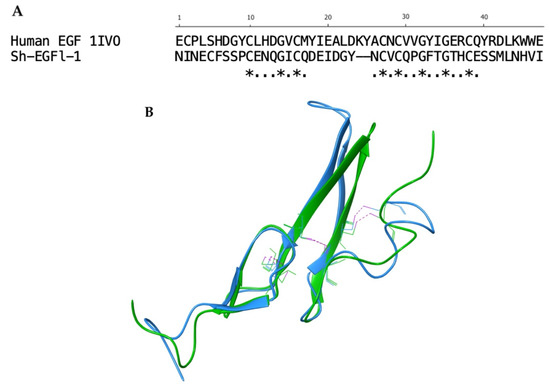Potential of Epidermal Growth Factor-like Peptide from the Sea Cucumber ...