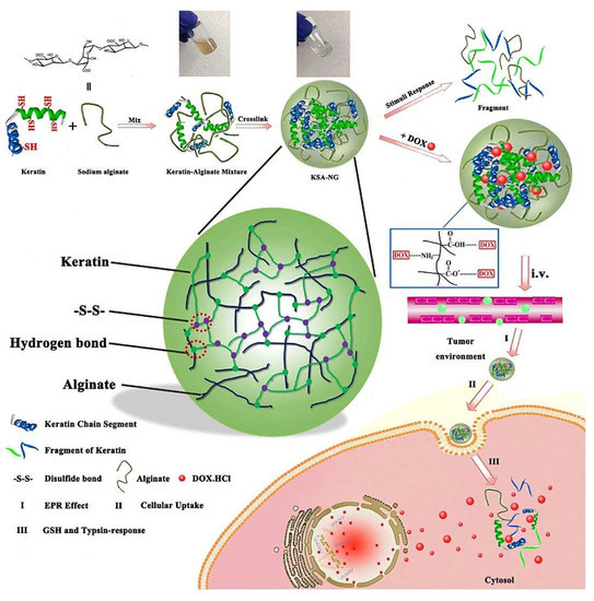 Alginate-Based Micro- and Nanosystems for Targeted Cancer Therapy