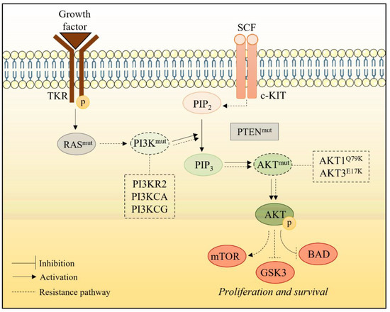 Carotenoids from Marine Microalgae as Antimelanoma Agents