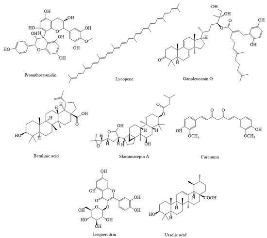 Marine Compounds, Mitochondria, and Malignancy: A Therapeutic Nexus