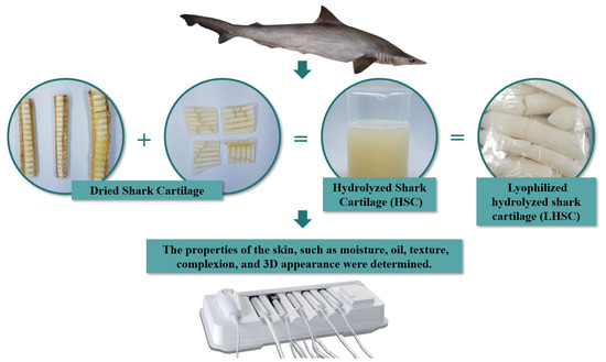An In Vivo Study to Evaluate the Efficacy of Blue Shark (Prionace ...