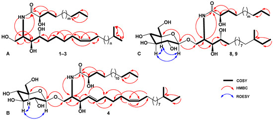 New Ceramides and Cerebrosides from the Deep-Sea Far Eastern Starfish ...