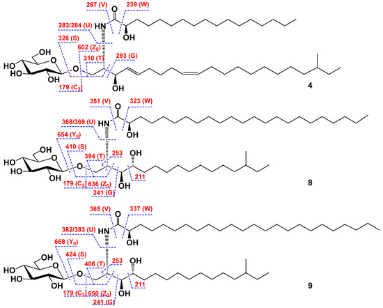 New Ceramides and Cerebrosides from the Deep-Sea Far Eastern Starfish ...