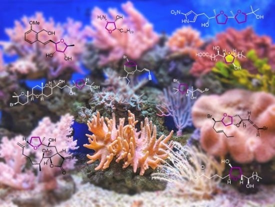 Marine Drugs Free Full Text The Tetrahydrofuran Motif In Marine