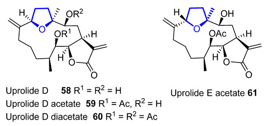 The Tetrahydrofuran Motif in Marine Lipids and Terpenes