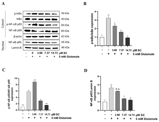 Marine Drugs Free Full Text Sargachromenol Isolated From Sargassum