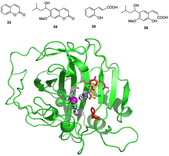 Carbonic Anhydrase Inhibitors from Marine Natural Products