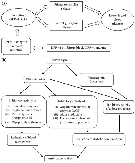 Biological Properties and Health-Promoting Functions of Laminarin: A ...