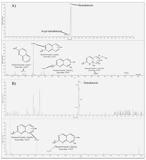 Structural Characterization and Spatial Mapping of Tetrodotoxins in Australian Polyclads