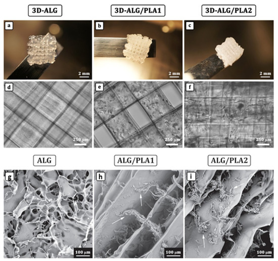 Advances in Algin and Alginate-Hybrid Materials for Drug Delivery and ...