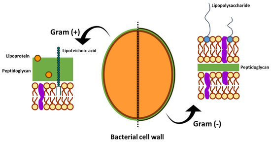 Seaweed as a Natural Source against Phytopathogenic Bacteria