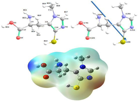 Therapeutic Potency of Ovothiol A on Ethanol-Induced Gastric Ulcers in ...