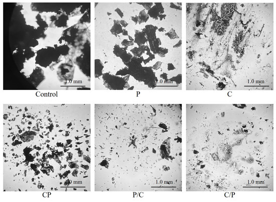 Two-Step Enzymolysis of Antarctic Krill for Simultaneous Preparation of ...