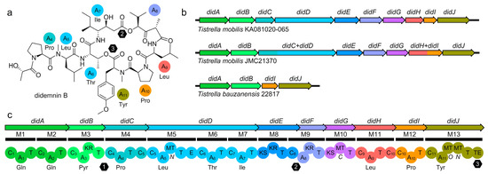 Marine Drugs | Free Full-Text | A Survey of Didemnin Depsipeptide Production in Tistrella