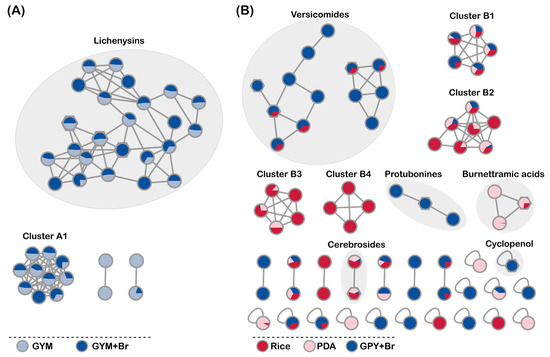 Bioactivity and Metabolome Mining of Deep-Sea Sediment-Derived ...