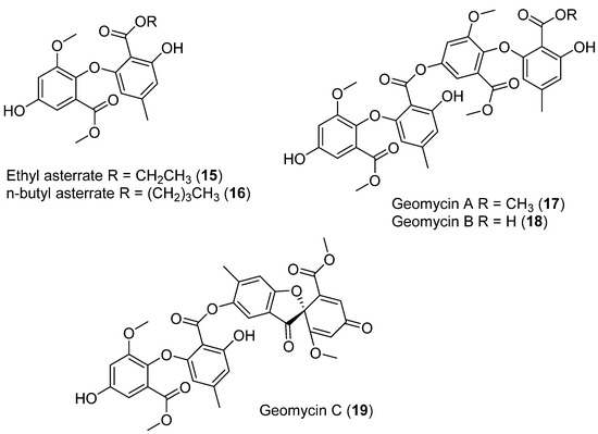 Natural Products from Chilean and Antarctic Marine Fungi and Their ...