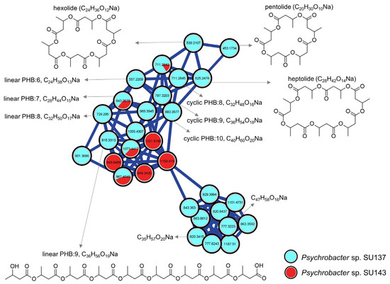 Bioactivity Profiling and Untargeted Metabolomics of Microbiota ...