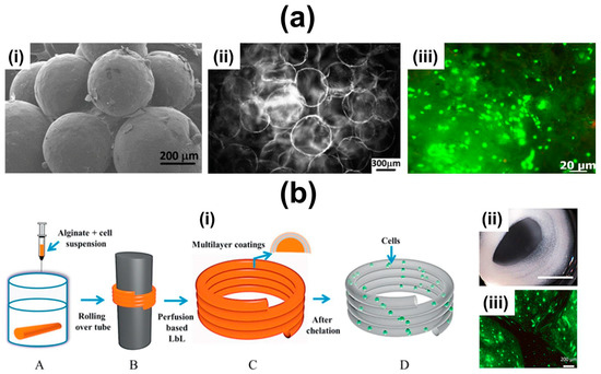 Chitosan-Based Biomaterials: Insights into Chemistry, Properties ...