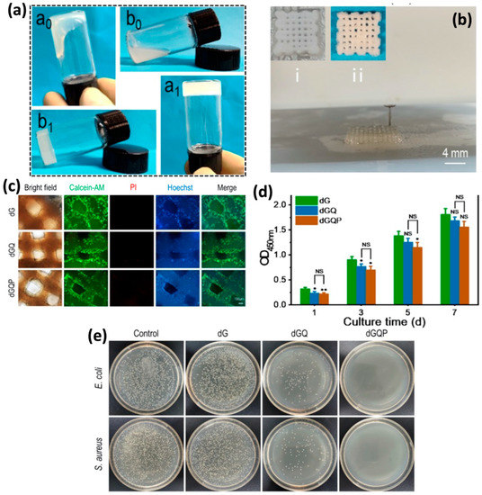 Chitosan-Based Biomaterials: Insights into Chemistry, Properties ...