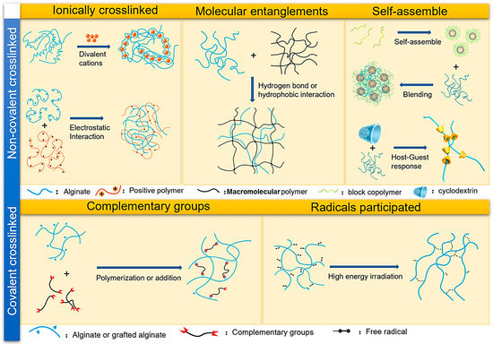 Alginate-Based Biomaterials in Tissue Engineering and Regenerative Medicine