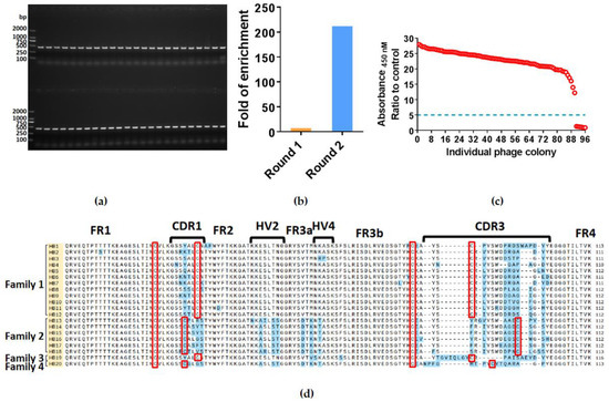 Isolation and Characterization of Targeting-HBsAg VNAR Single Domain ...